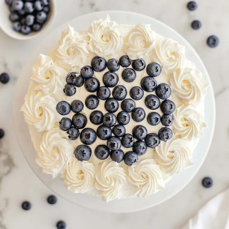 Blissful Blueberry Shortcake Cake - FunCraftyKitchen