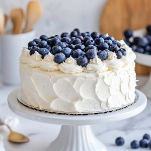 Blissful Blueberry Shortcake Cake - FunCraftyKitchen