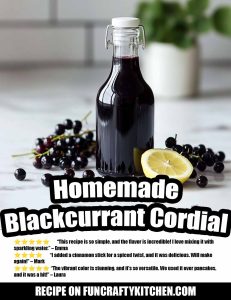 Homemade Blackcurrant Cordial - FunCraftyKitchen